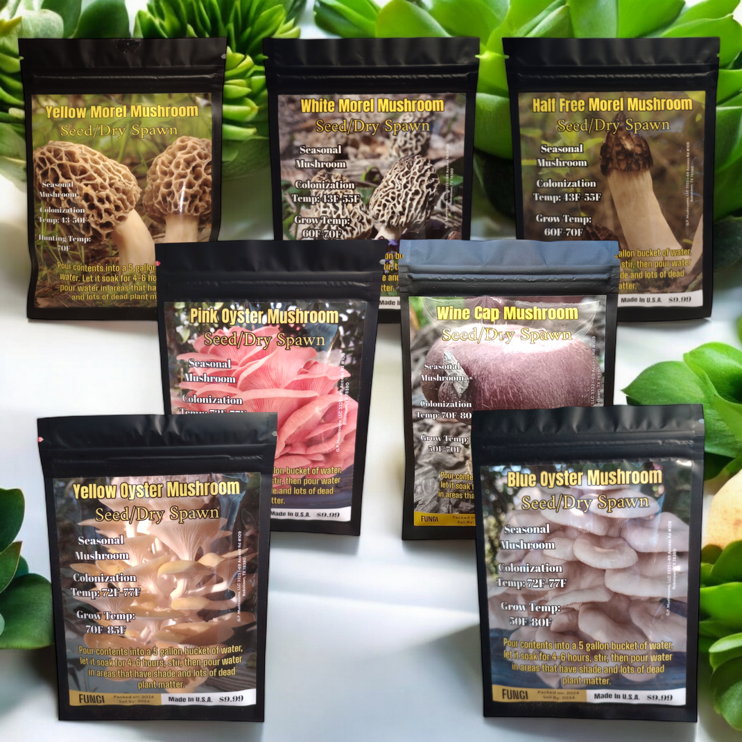 Three All In One Mushroom Kits For Only $36.99! – G.P. Mushrooms